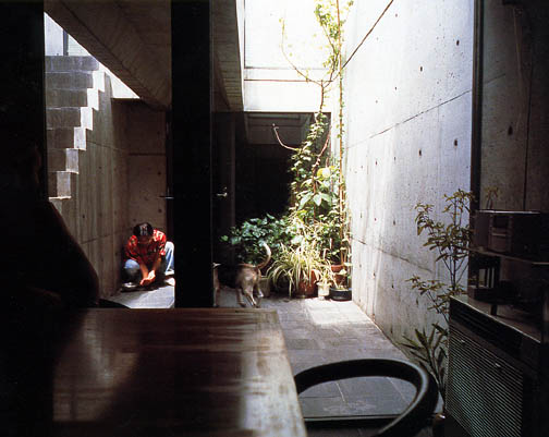 Tadao Ando, Row house (Azuma House)