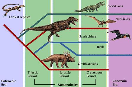 dinosaurs lived throughout most of the mesozoic era which is divided ...