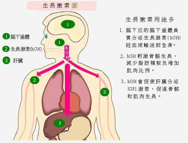 Easy Health Tips easy-health-tips