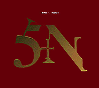 Nin Sin Logo