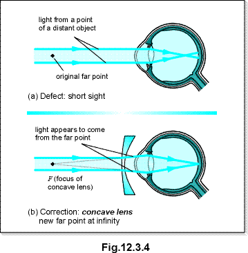 Near And Far Objects