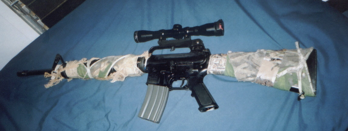 M16a2 Scope