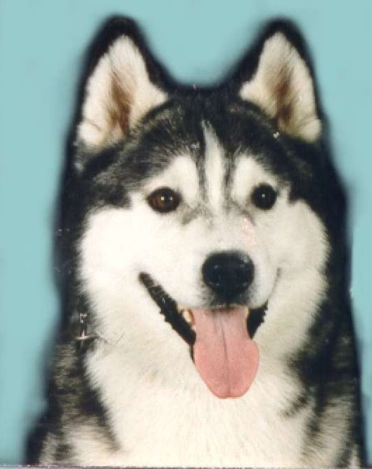 SiberLink