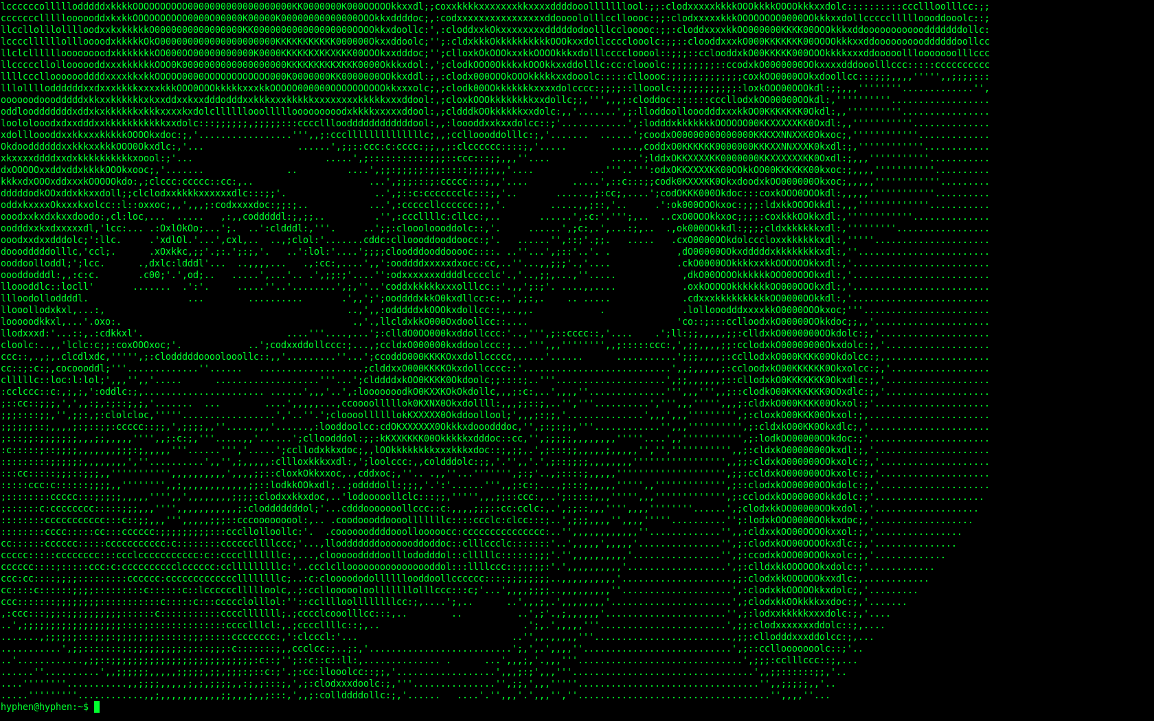 The Terminal Perception - ASCII Art