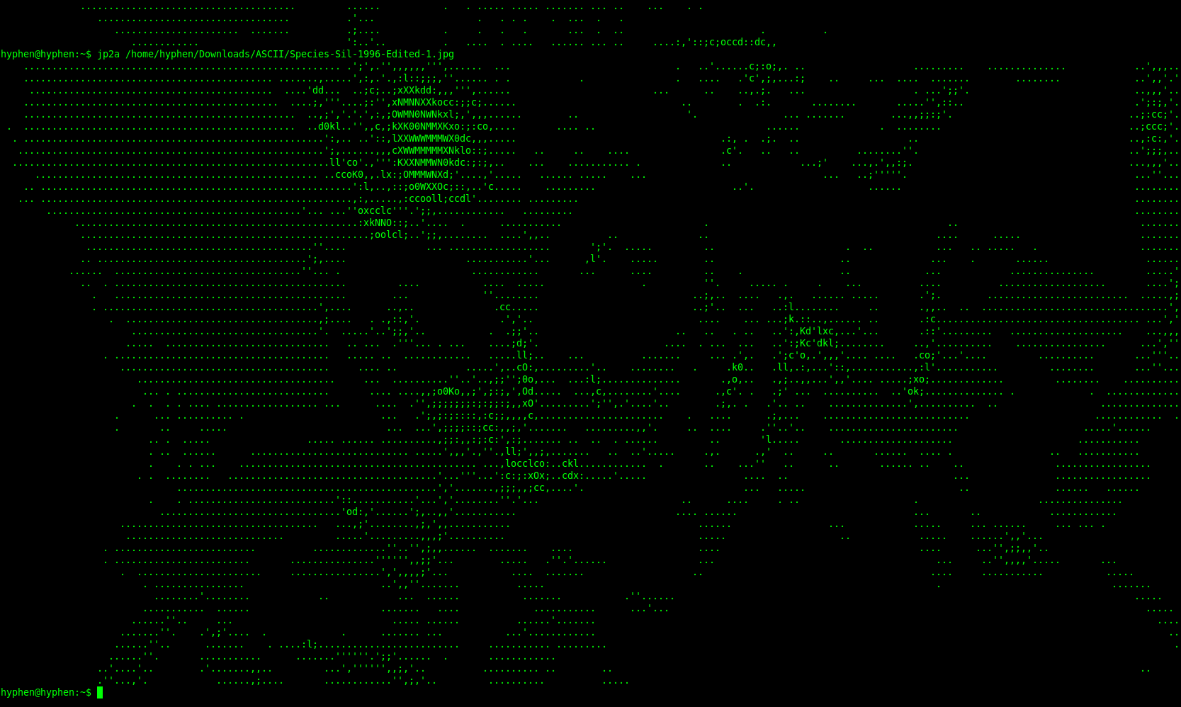 The Terminal Perception - ASCII Art
