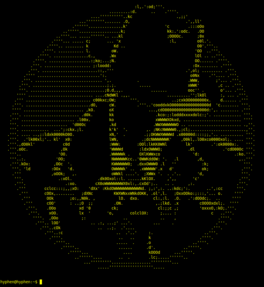The Terminal Perception - ASCII Art