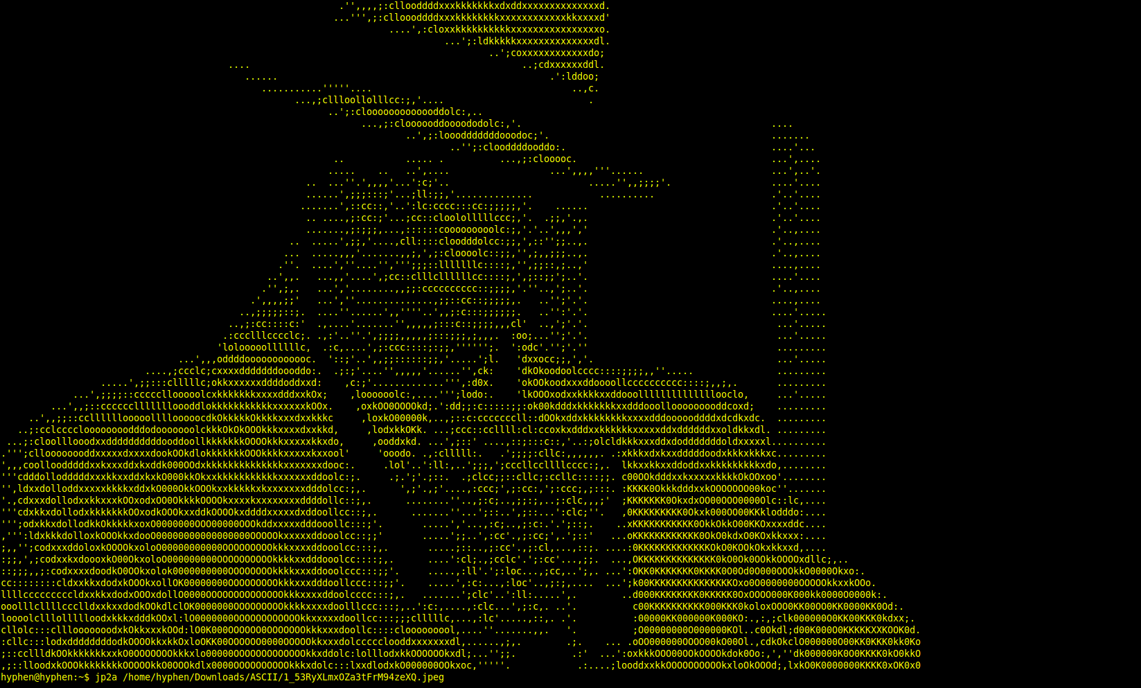 The Terminal Perception - ASCII Art