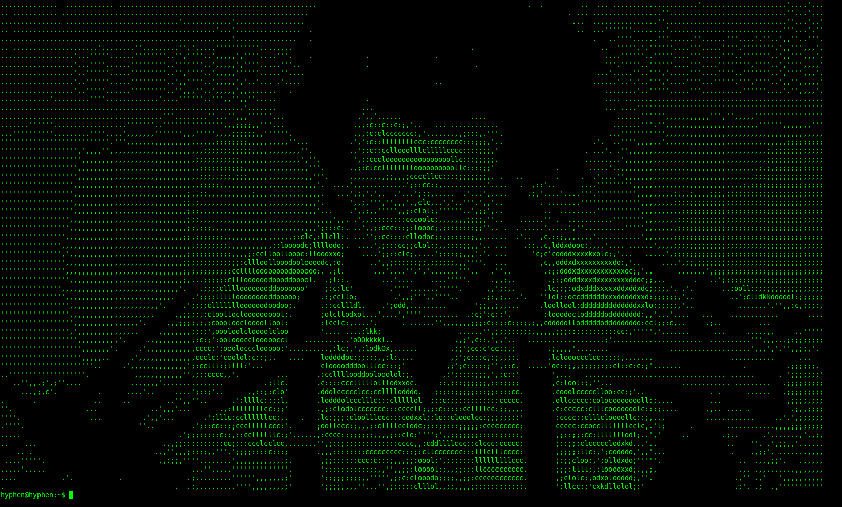 The Terminal Perception - ASCII Art
