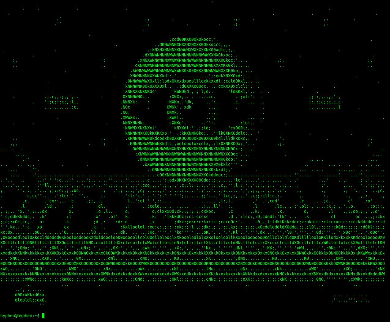 The Terminal Perception - ASCII Art