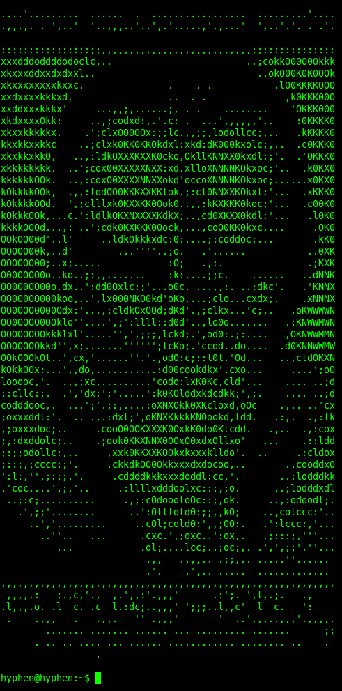The Terminal Perception - ASCII Art