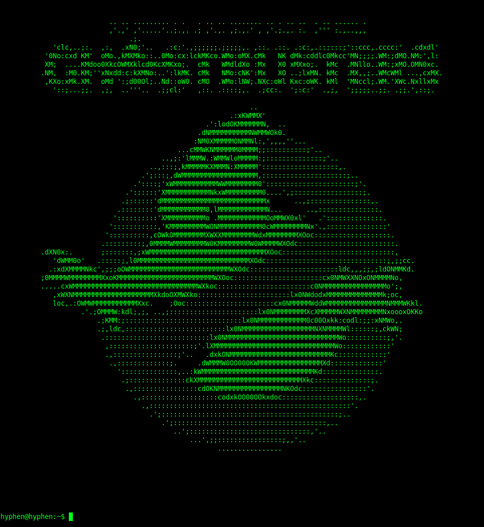 The Terminal Perception - ASCII Art