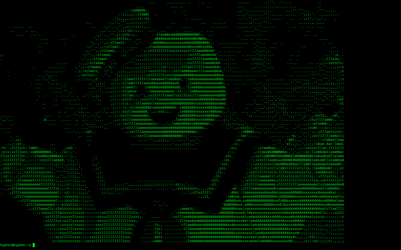 The Terminal Perception - ASCII Art
