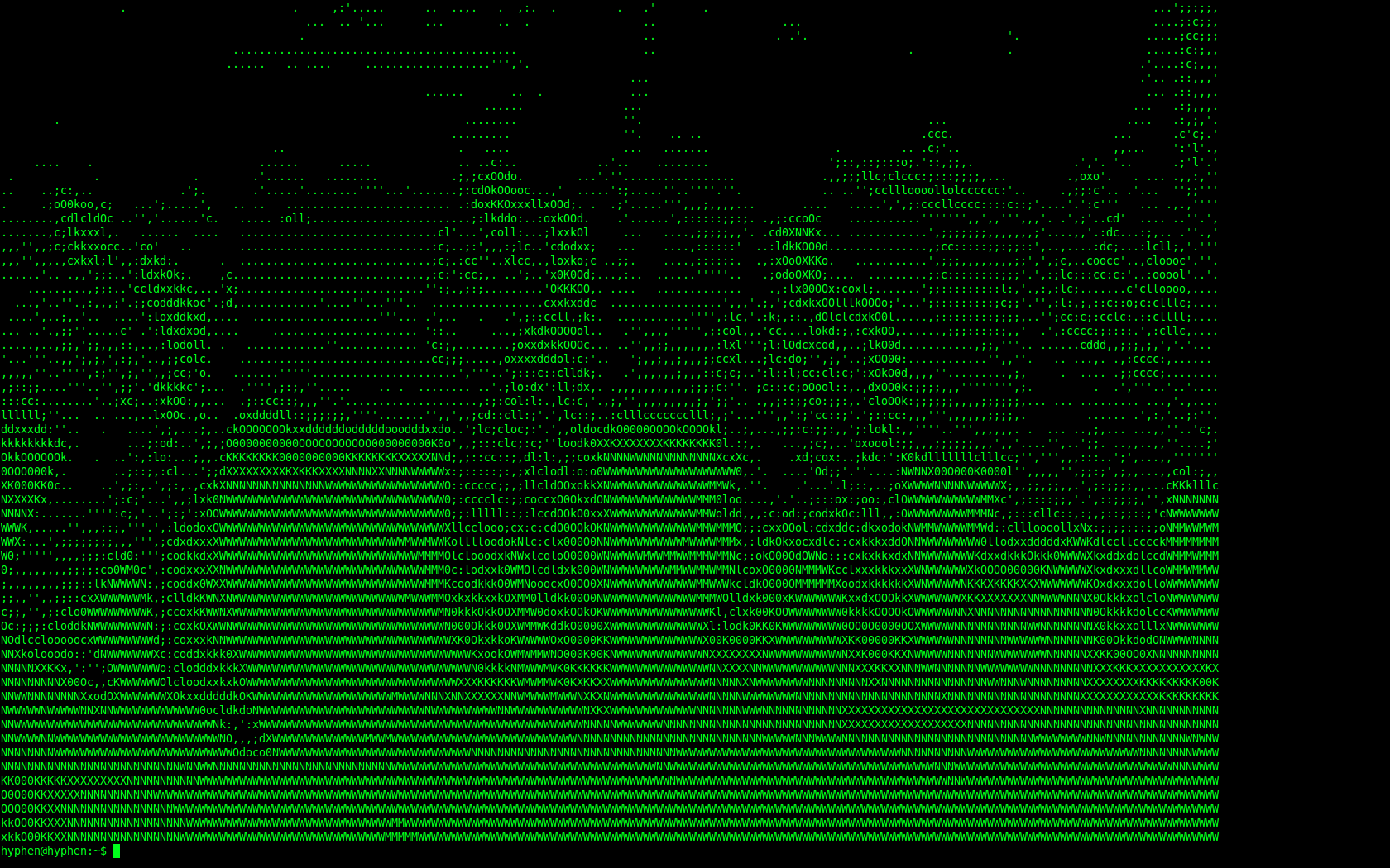 The Terminal Perception - ASCII Art