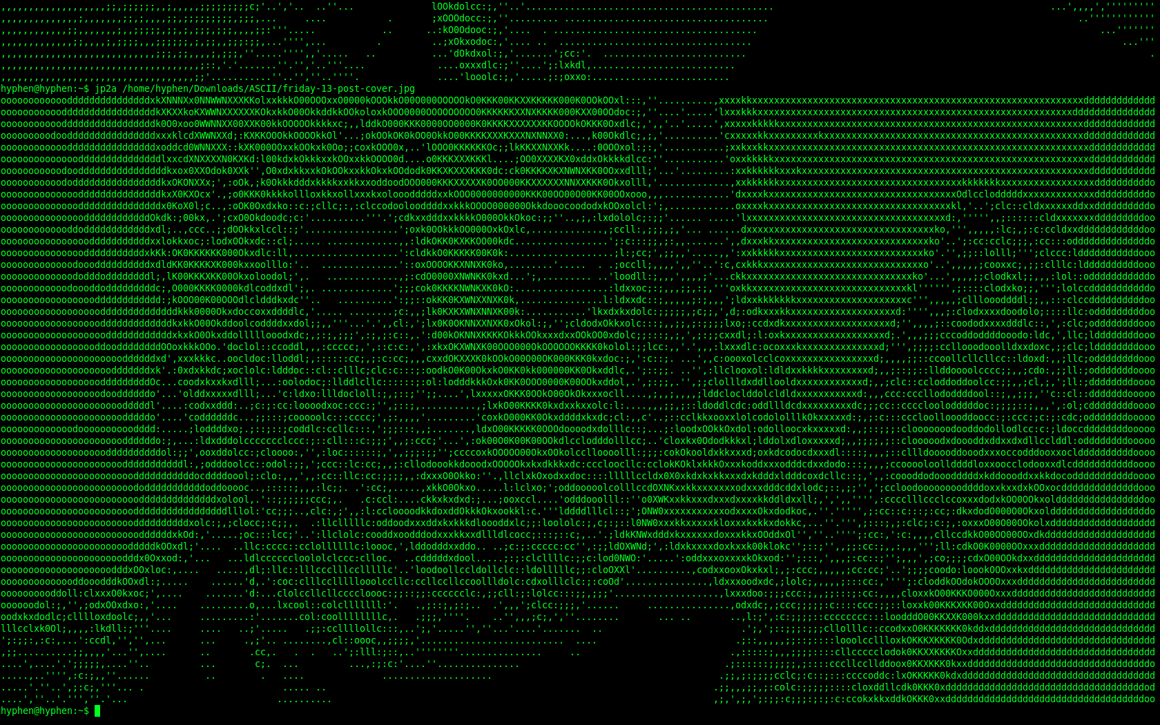 The Terminal Perception - ASCII Art