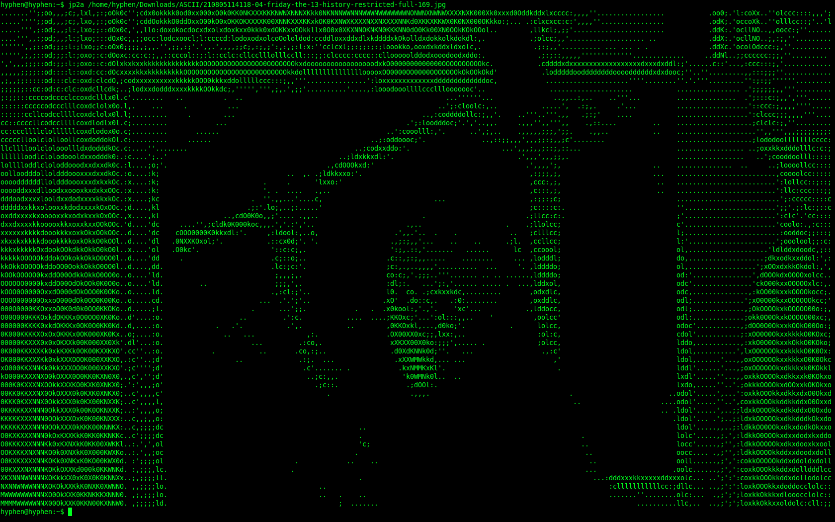 The Terminal Perception - ASCII Art