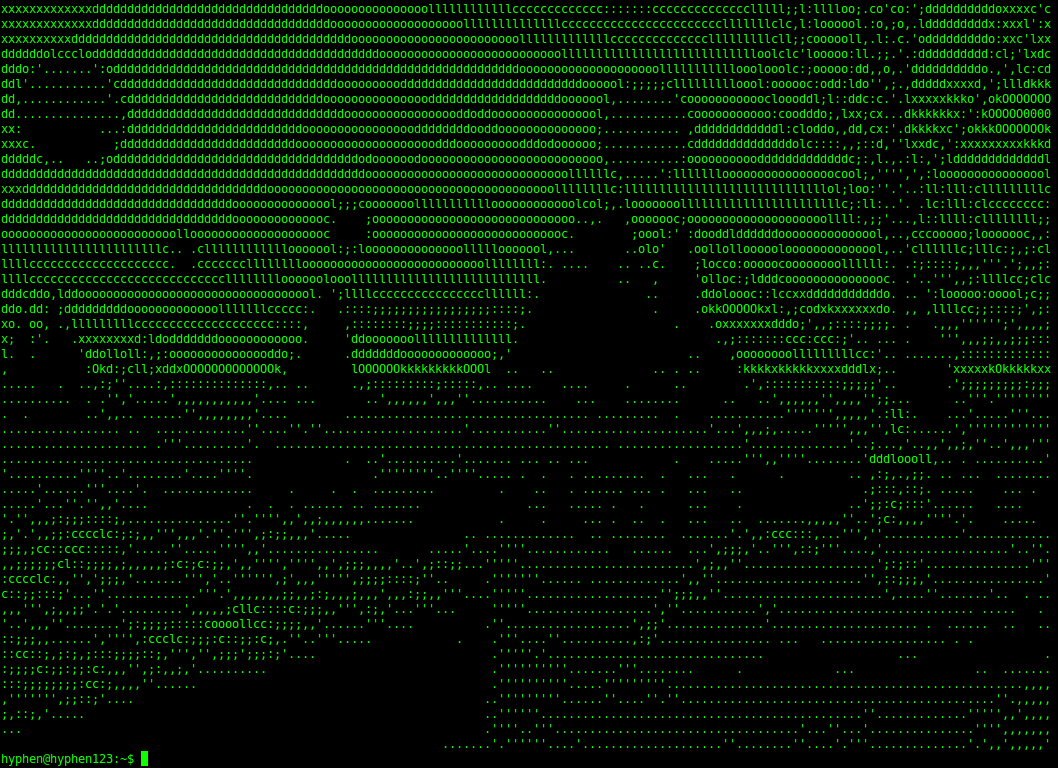 The Terminal Perception - ASCII Art