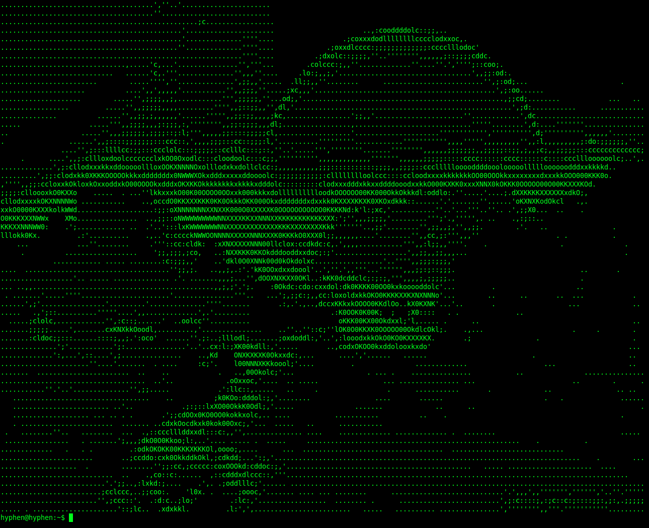 The Terminal Perception - ASCII Art