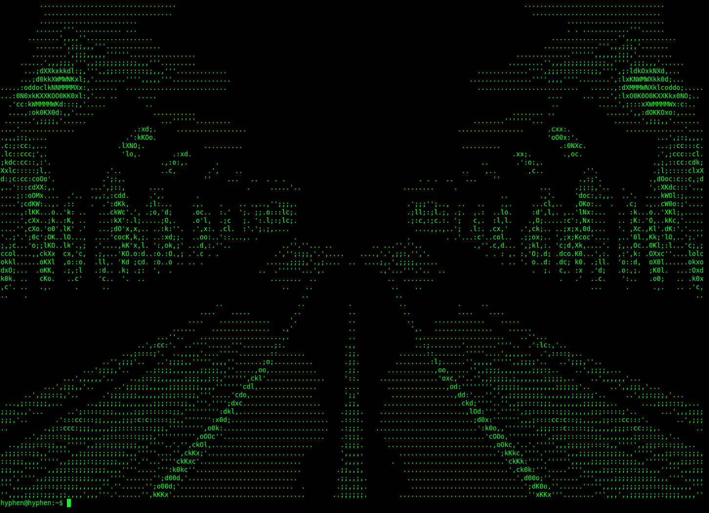 The Terminal Perception - ASCII Art