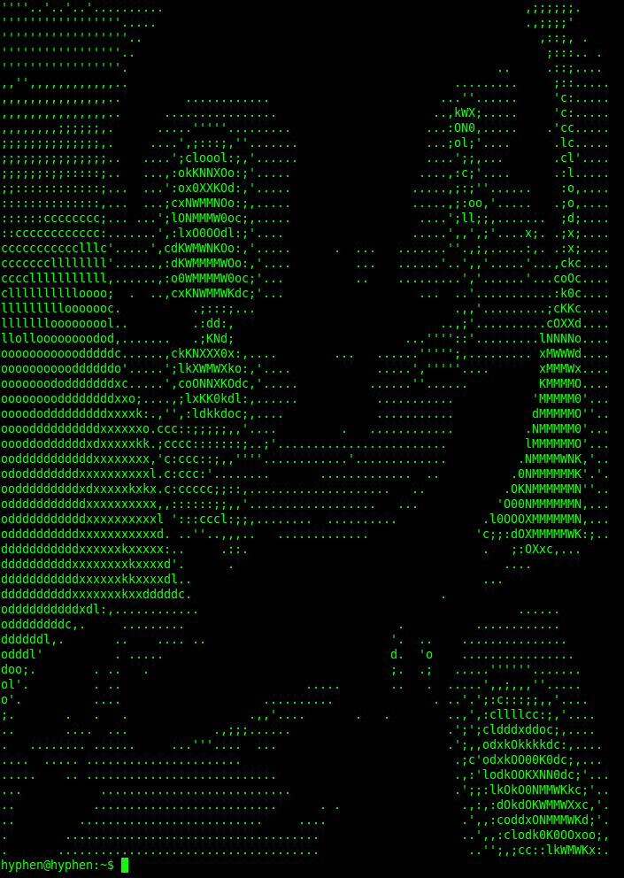 The Terminal Perception - ASCII Art