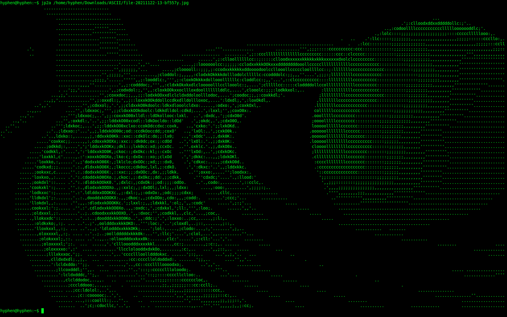 The Terminal Perception - ASCII Art