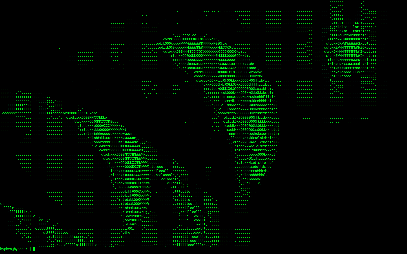 The Terminal Perception - ASCII Art