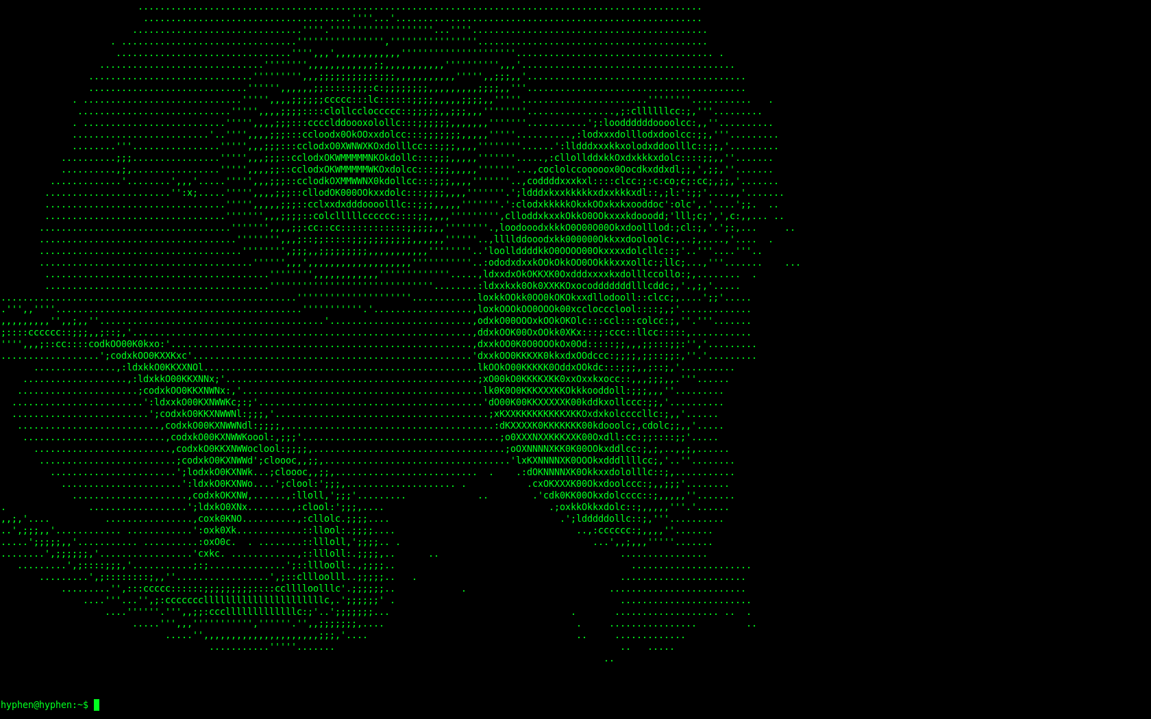 The Terminal Perception - ASCII Art