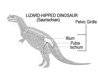 Dinosaurs! - Introduction