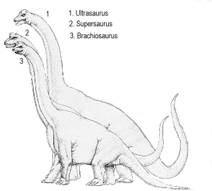 Ultrasaurus Size