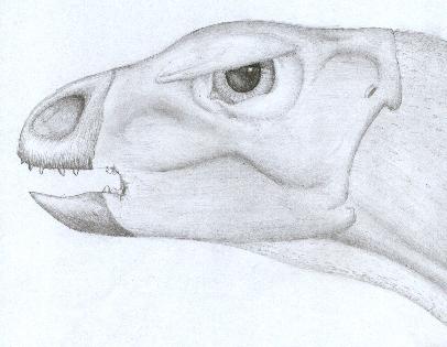 bugenasaura
