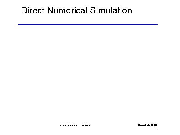 Direct Numerical Simulation