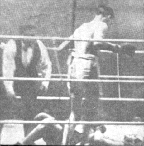 Terry McGovern - prepared by Tracy Callis