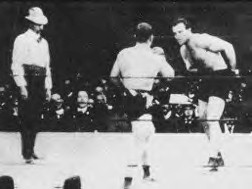 Tom Sharkey - prepared by Tracy G. Callis