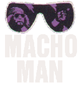 Macho Man Randy Savage Gallery