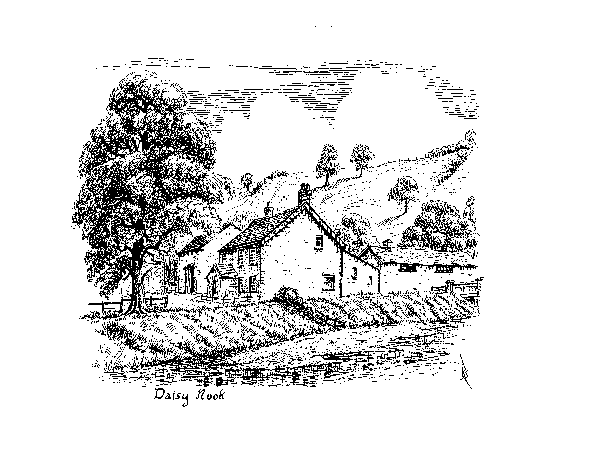 Daisy Nook