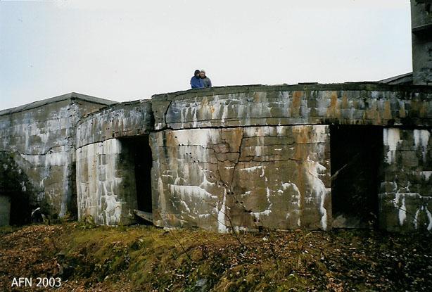Fort Constitution Photo Gallery 6 of 7