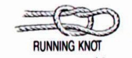 Home [www.geocities.ws]