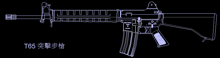 聯勤 T65 突擊步槍