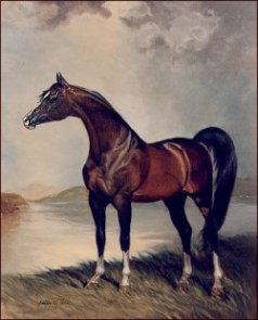 [Featured Equine] Khemosabi