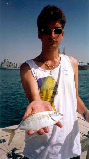 This are some of the fish that I