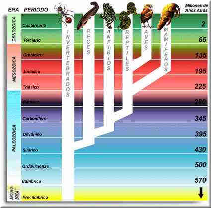 Libro de Paleontología
