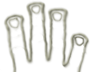 Untitled [www.geocities.ws]