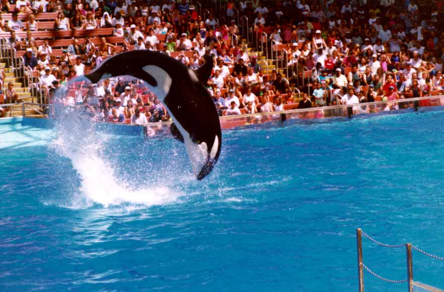 Sea World '98 - Stephen's PhotoJournal