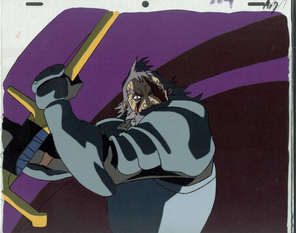 Kaerra's Sanctuary~Vision of Escaflowne Cels