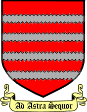 Coats of arms and Crests for different family names