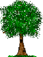 The ADAMS Family Tree