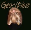 All Critter Backgrounds/ Bat Set