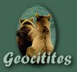 All Critter Backgrounds/ Bear Set