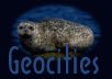 All Critter Backgrounds/ Seal Set