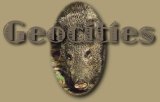 All Critter Backgrounds/ Pig Set