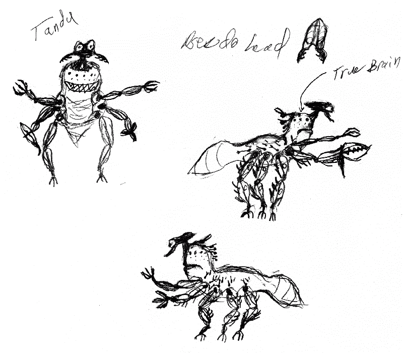 Tandu right, left and front views